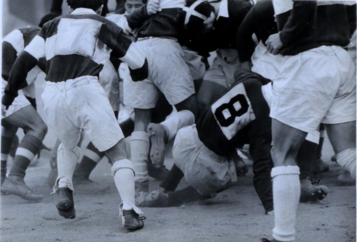 ファイル:Tuchi 0006 (3).JPG - 八中・小山台デジタルアーカイブ